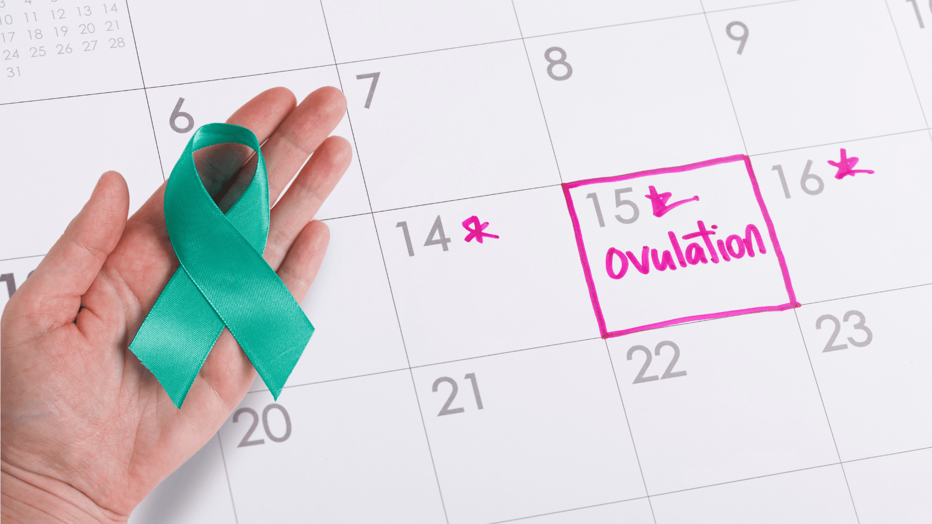 Support and Guidance After Pregnancy Loss | Fertility Centers of Illinois